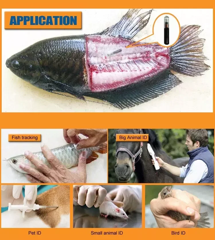 134.2khz Em4305 Bioglass Smart Implantable Id Identification Nfc Rfid ...