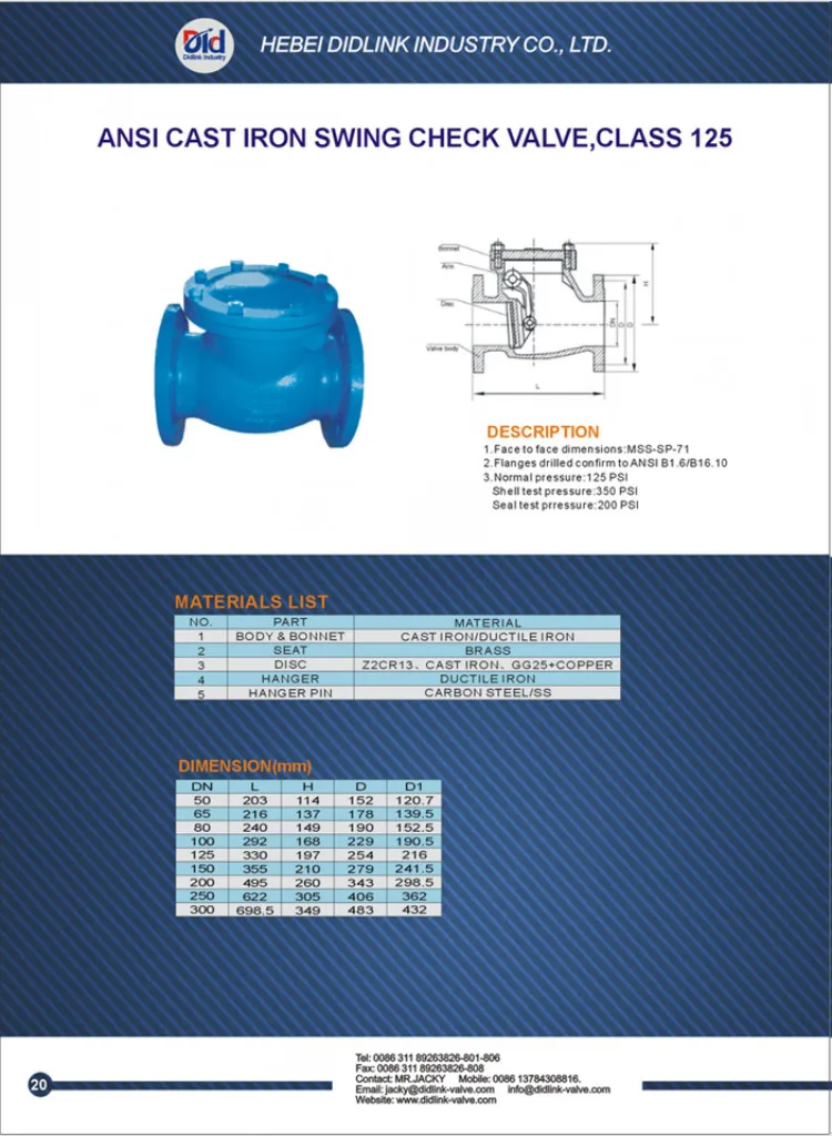 DIN Carbon Steel DN100 Manual Hydraulic Check Valve Vertical Lift Type ...