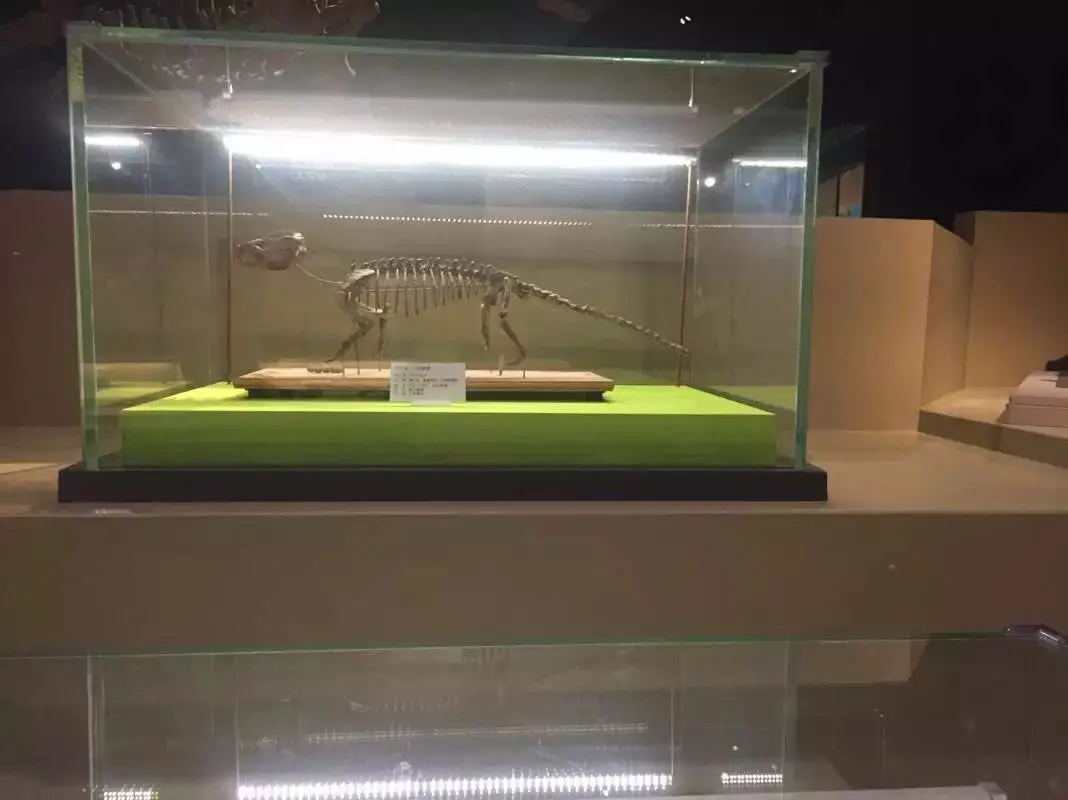 Air Conditioner For Museum Showcase,Display Cabinet Temperature And ...