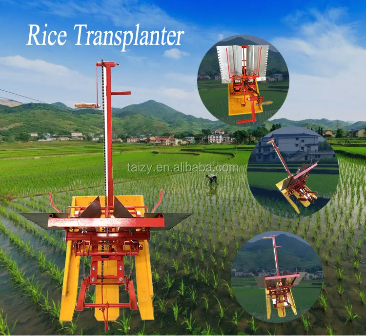 Hand Held Rice Transplanter Price Philippines - High Accuracy