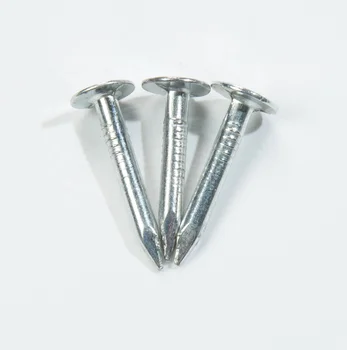 Large Head Galvanized Linoleum Nails - Buy Zinc Galvanized Nails ...