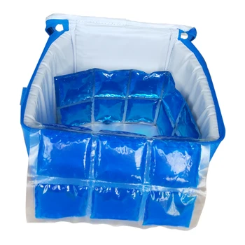 Reusable Or Disposable Gel Ice Packs For Food Drink Fresh Shipping ...
