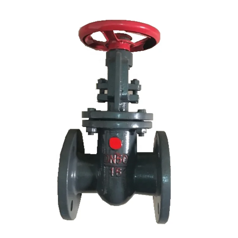 Hard seal parallel double disc gate valve for two-way flow pipeline ...
