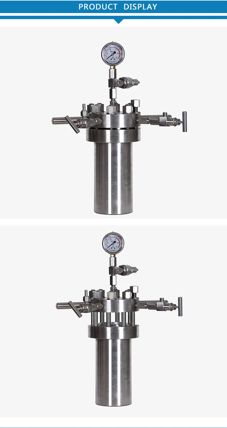 Stainless Steel Mini Cf-Series High Pressure Reactor Vessel