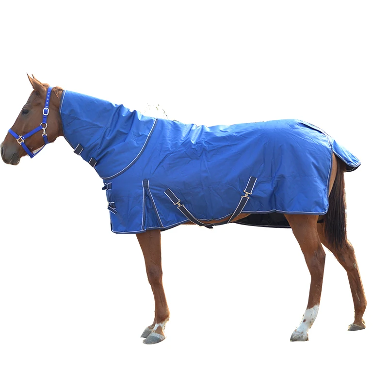 Equestrian Horse Cloth For Sale - Buy Horse Cloth,Equestrian Horse ...