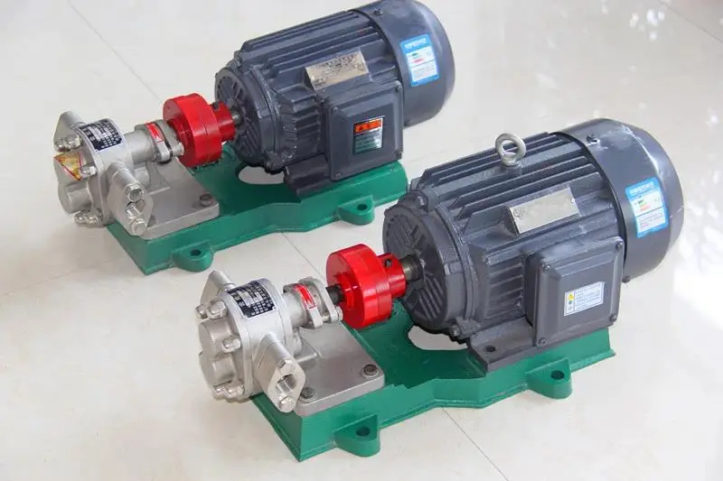 Gear Pumps Food Grade Oil Pump Stainless Steel Electric High Pressure ...