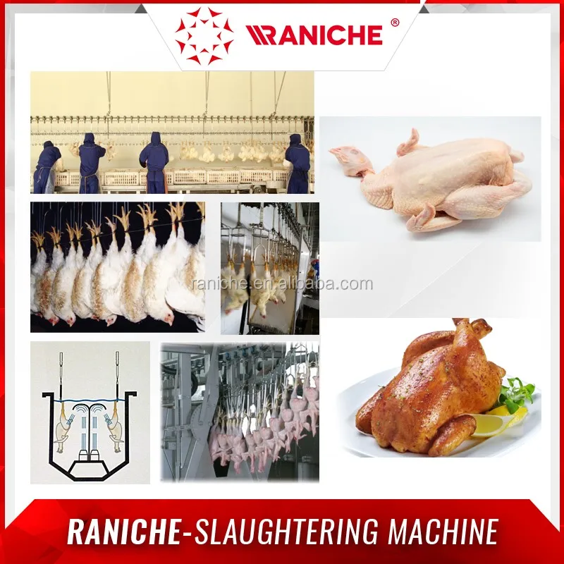 Automatic Chicken Leg Deboner/deboning Machine - Buy Chicken Deboning ...