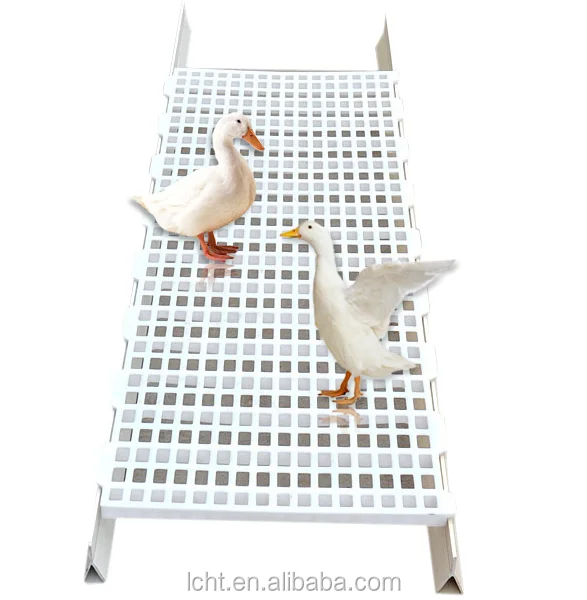 Plastic Poultry Slat Floor For Chickens Poultry Slats - Buy Poultry ...