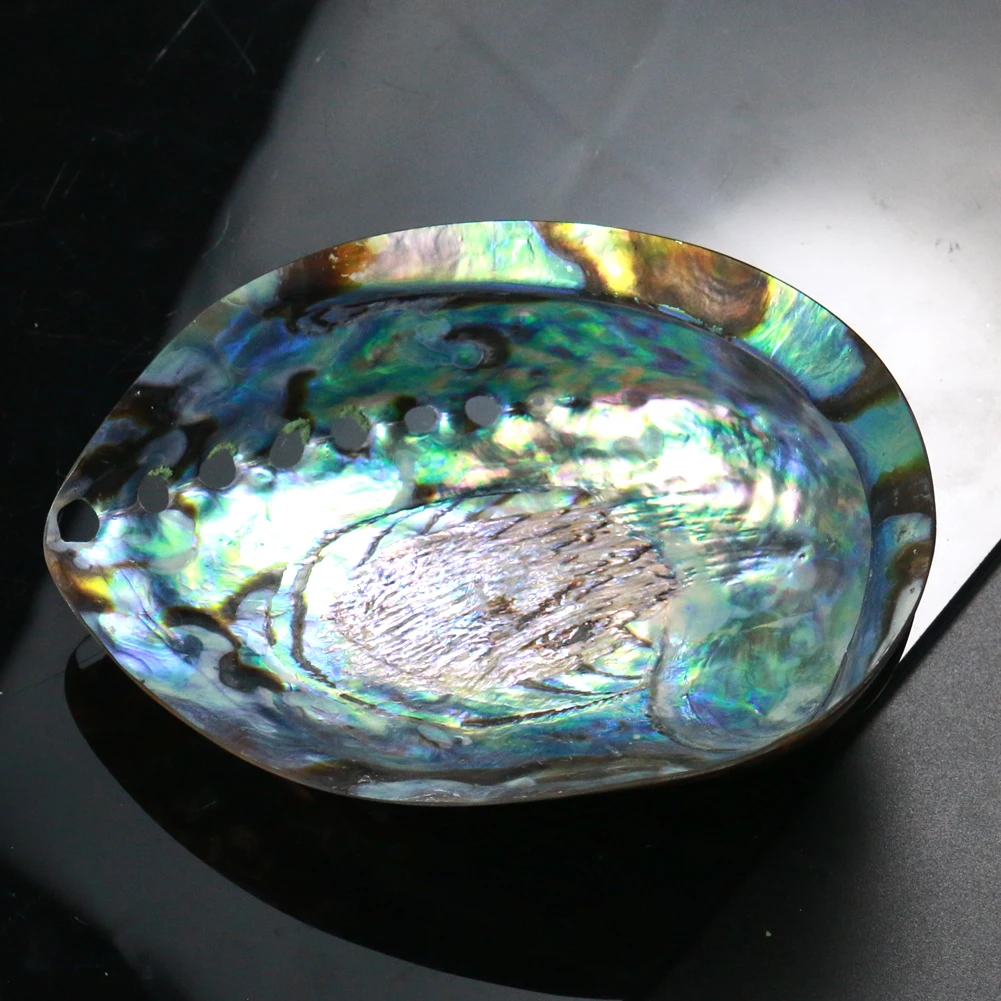Natural Chromatic Polished Abalone Shells For Diy Crafts Decorations ...