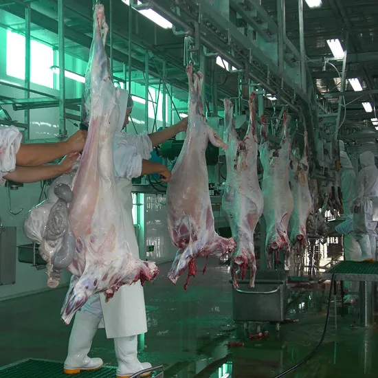 Ritual Goat Slaughterhouse Equipment For Sheep Butcher Abattoir, View ...