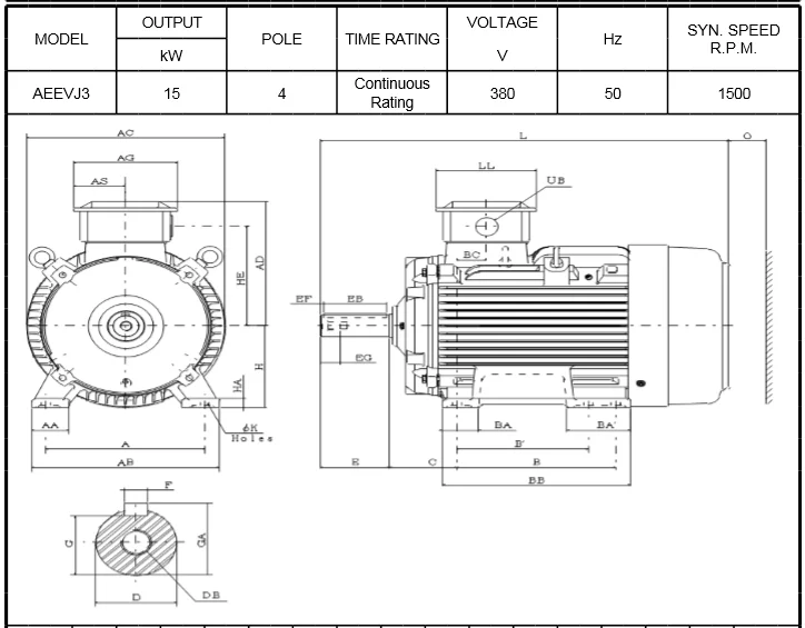 15KW Three Phase Induction Electric Motor J3 Series from TECO