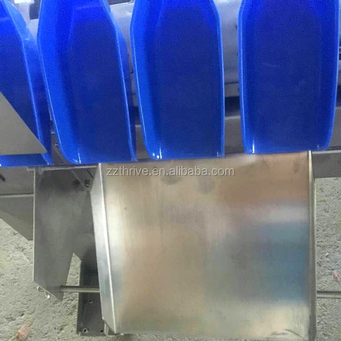 Industrial Crawfish Lobster Sorting Machine - 300kg/h