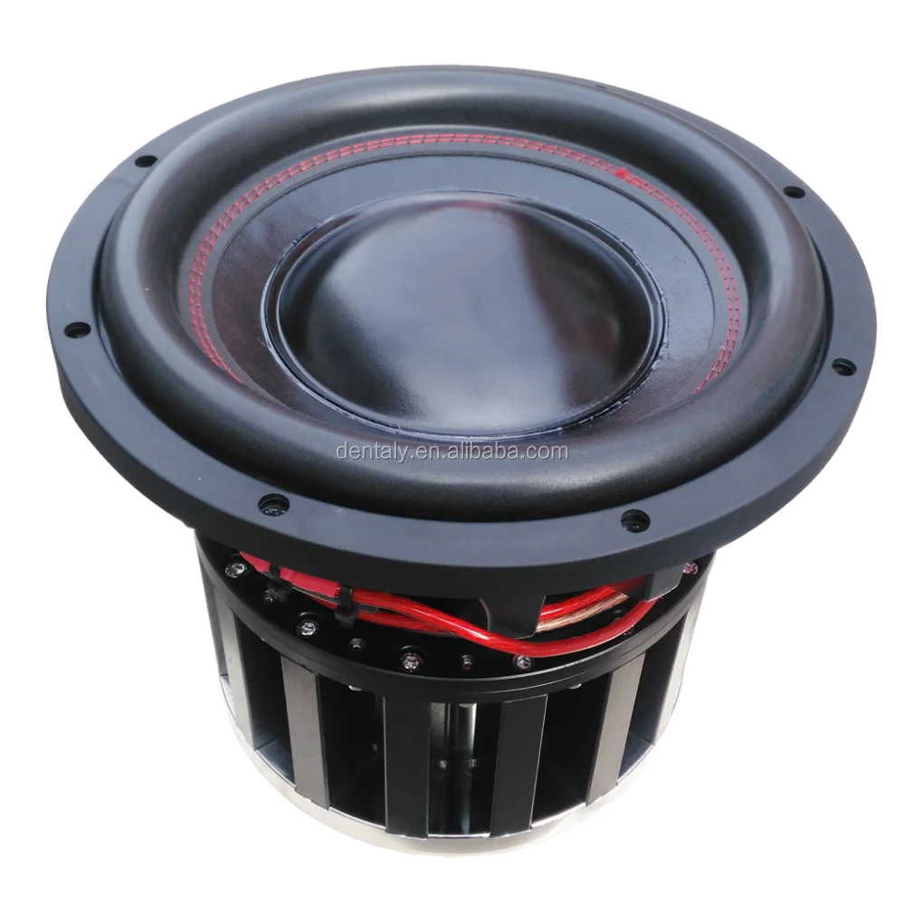 High Level Hot Sales Neo Motor Neodymium Sub Woofer for Car