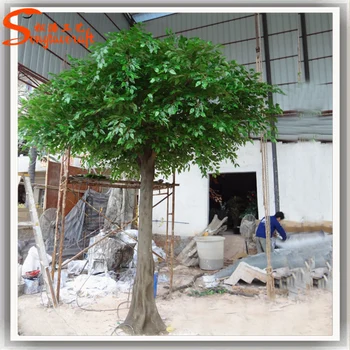 Cheap White Artificial Ficus Tree Without Leaves Indoor Artificial ...