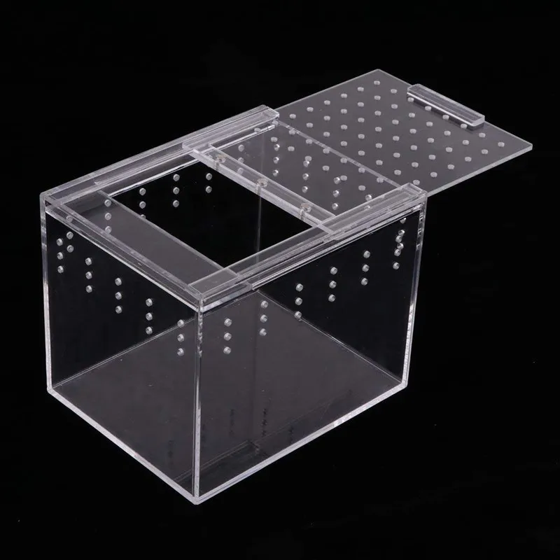 15 Years Factory Direct Selling Acrylic Feeding Box Container Acrylic ...