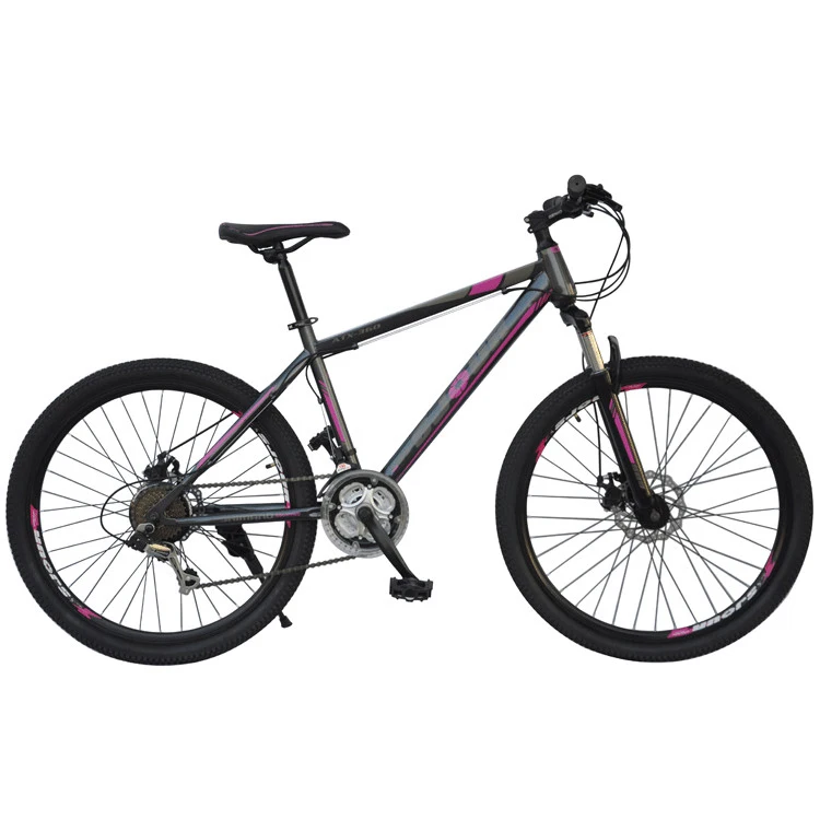 24 Speed Full Suspension Mountain Bike - Bicystar Factory Price