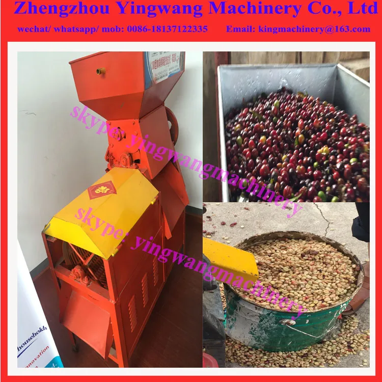 Fresh Coffee Fruit Processing Machine - High Productivity