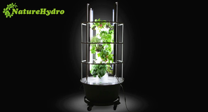 Hydroponics Vertical Farming - Efficient Greenhouse System