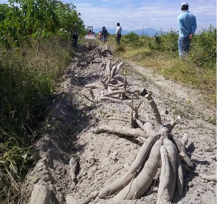 Cassava Harvester Sweet Potato Combine Digger 2 Rows Tapioca ...