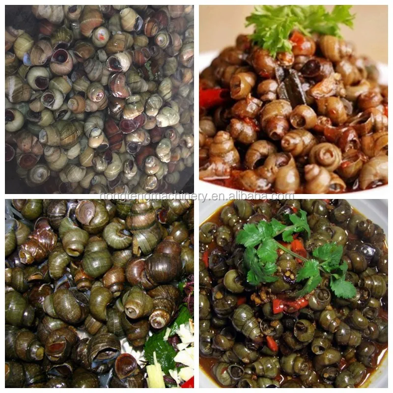 Efficient Snail Tail Cutting with HTS Machines