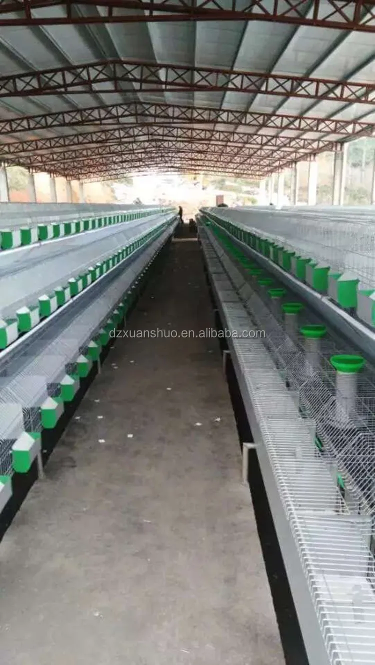 Shop Our Best Selling Plastic Rabbit Nest Boxes - Easy Care