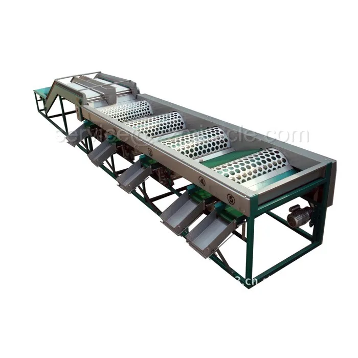 High Efficiency Tomato Potato Sizer Grading Machine With 2 To 7 Sorter ...