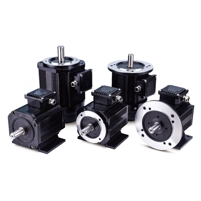 375r 3000w Three Phase Permanent Magnetic Synchronous Ac Motor - Buy ...