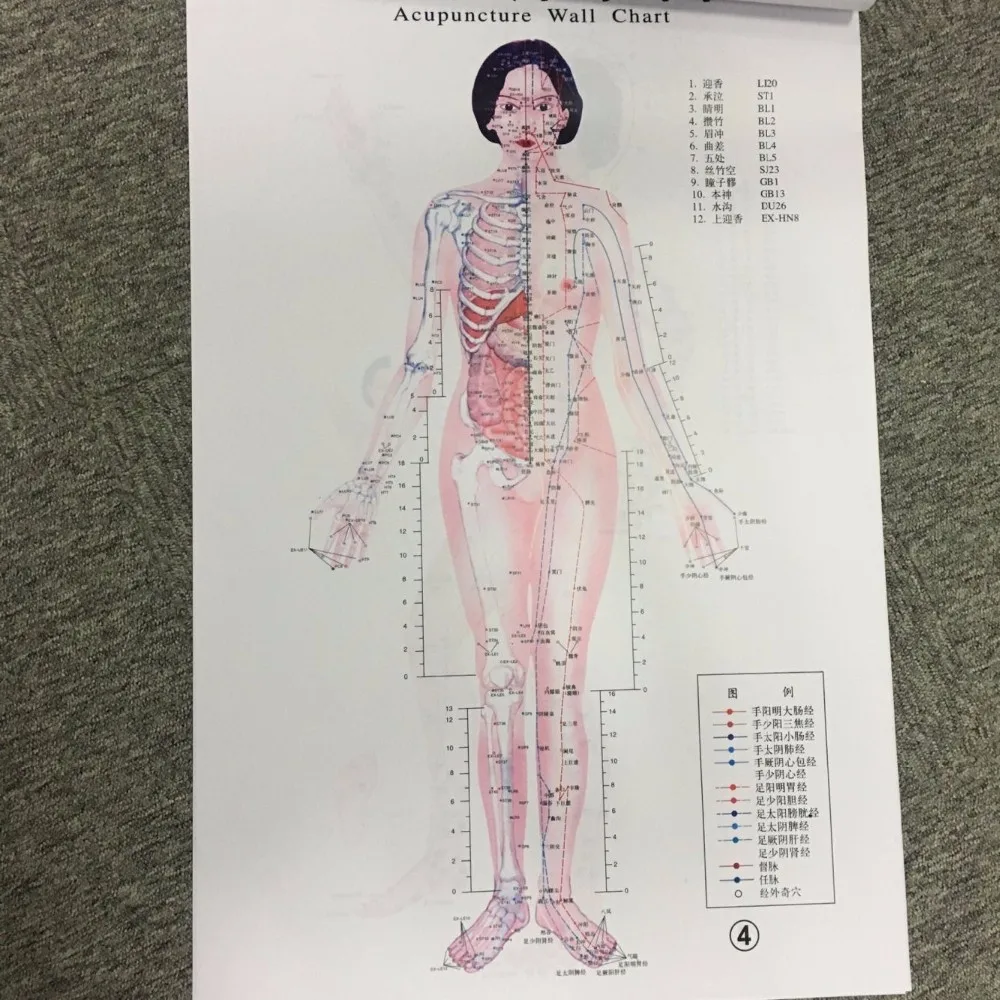 Acupuncture Points - Chinese Medical Acupuncture Charts