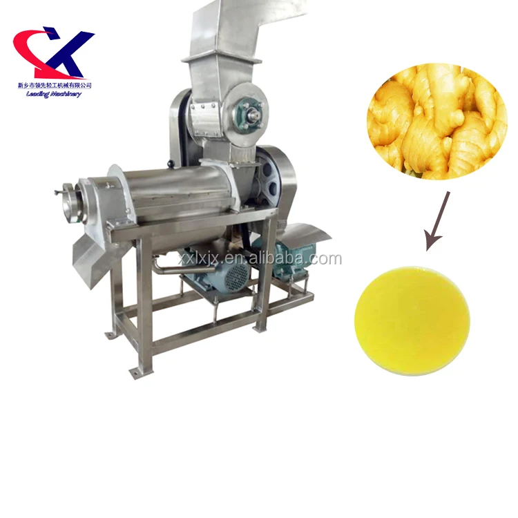 Apple Ginger Crusher Machine for Sale - 500KG/H Capacity