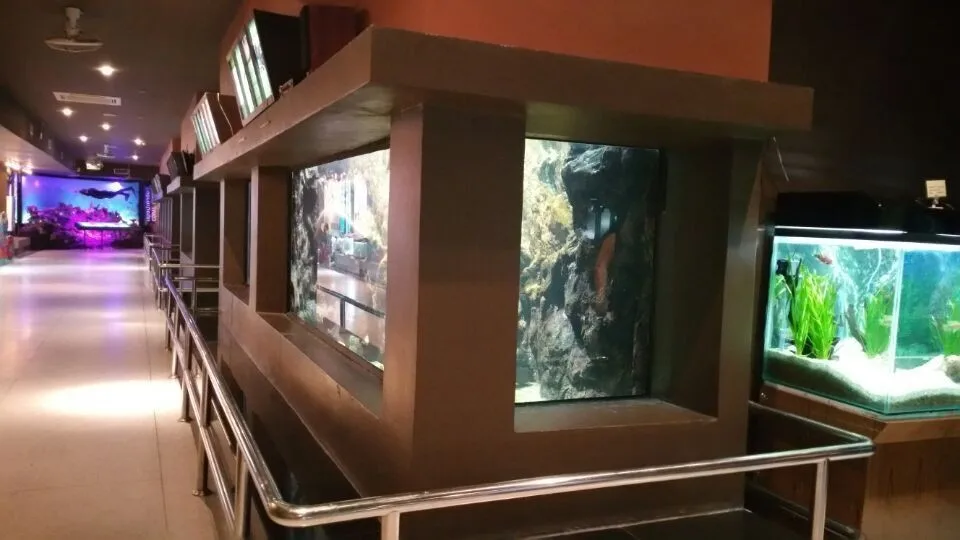 20mm To 200mm Big Size Custom Acrylic Aquarium Fish Tank Transparent ...