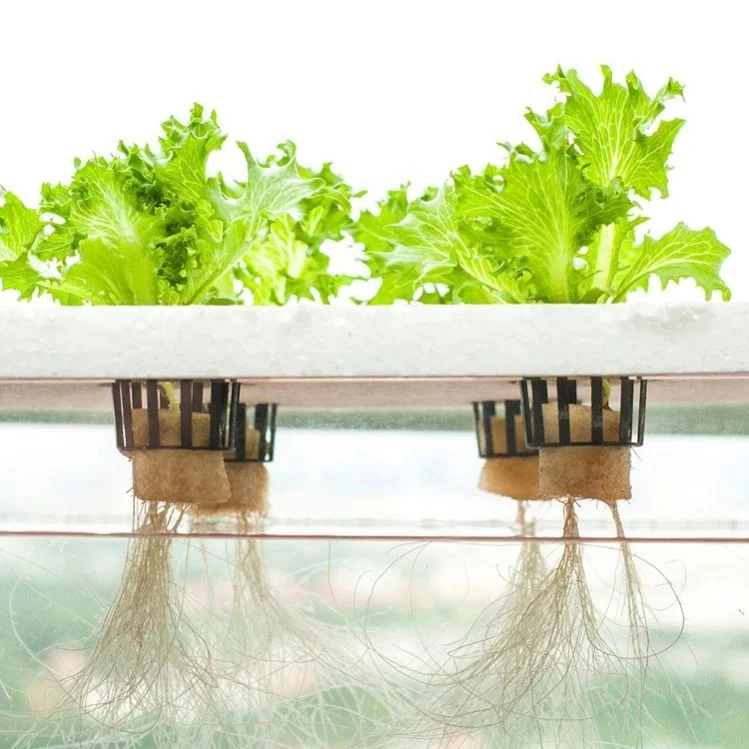 Hydroponic Rectangular PVC Pipe Gully NFT Channel System