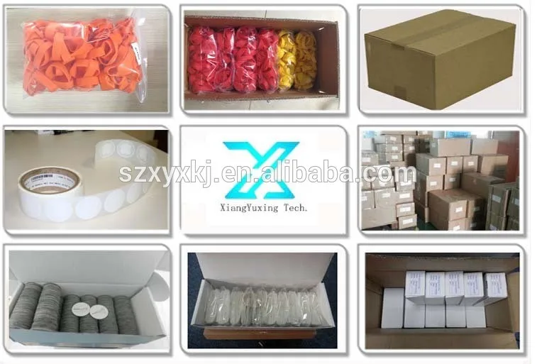 Custom QR Code and URL Programmable Epoxy NFC Pet ID Collar Custom QR Code and URL Programmable Epoxy NFC Pet ID Collar