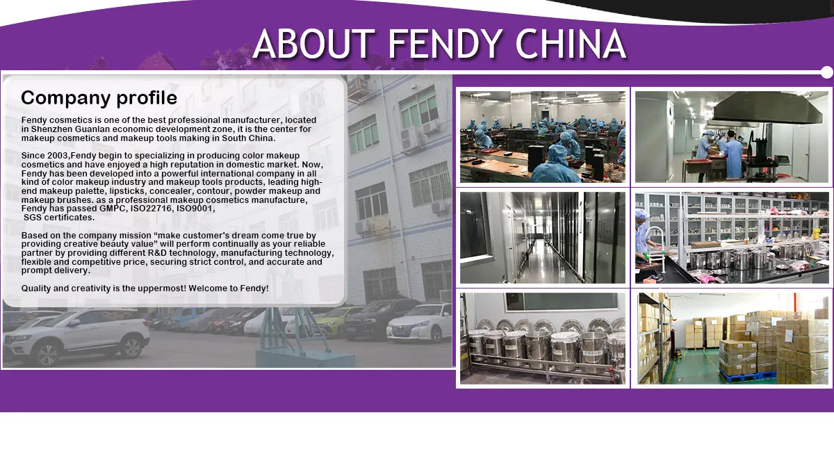 Shenzhen Fendi Cosmetics Co., Ltd. - highlighter&blush, eyeshadow