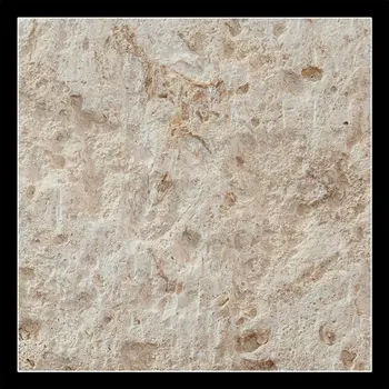 Coralline Limestone (mactan Stone) - Buy Coral Stone Product on Alibaba.com