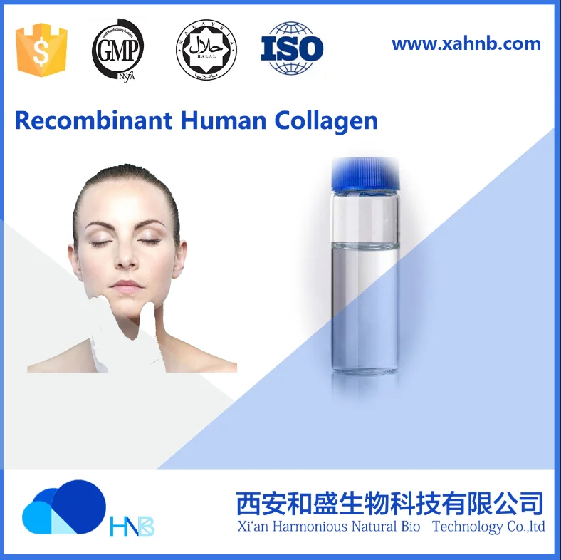 Supply High Purity Skin Care Products Recombinant Human Collagen - Buy ...