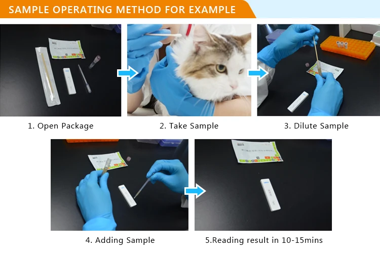 H5/H7 Avian Influenza Ag Rapid Test - 100% Specificity