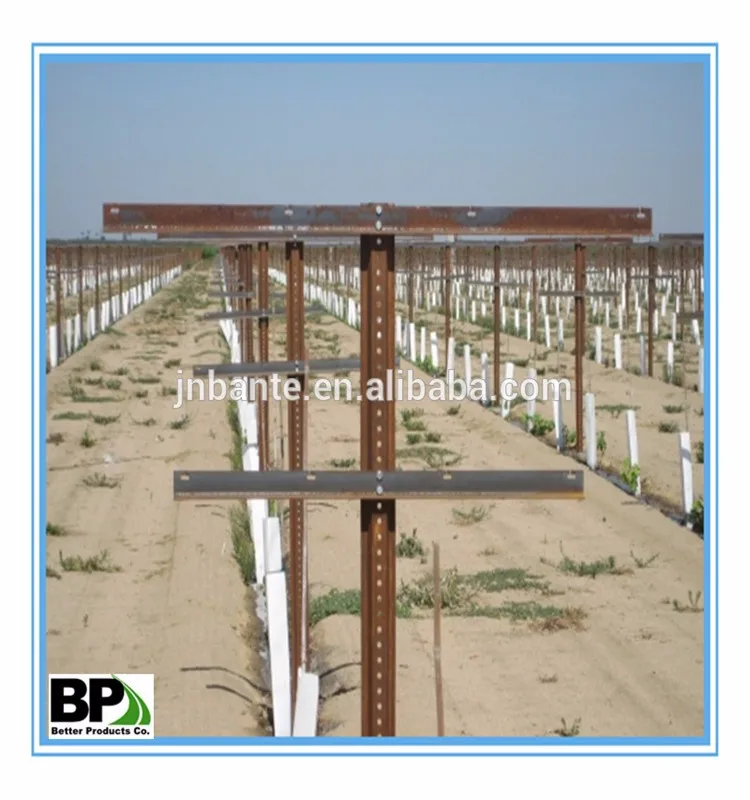 Steel U Channel Vineyard Metal Trellis Post| Alibaba.com