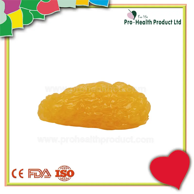 2lbs Anatomical Fat Model - Realistic TPR Body Model for Medical ...