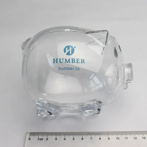 Cute Design Clear Plastic Coin Bank - PINBO PT5418-1