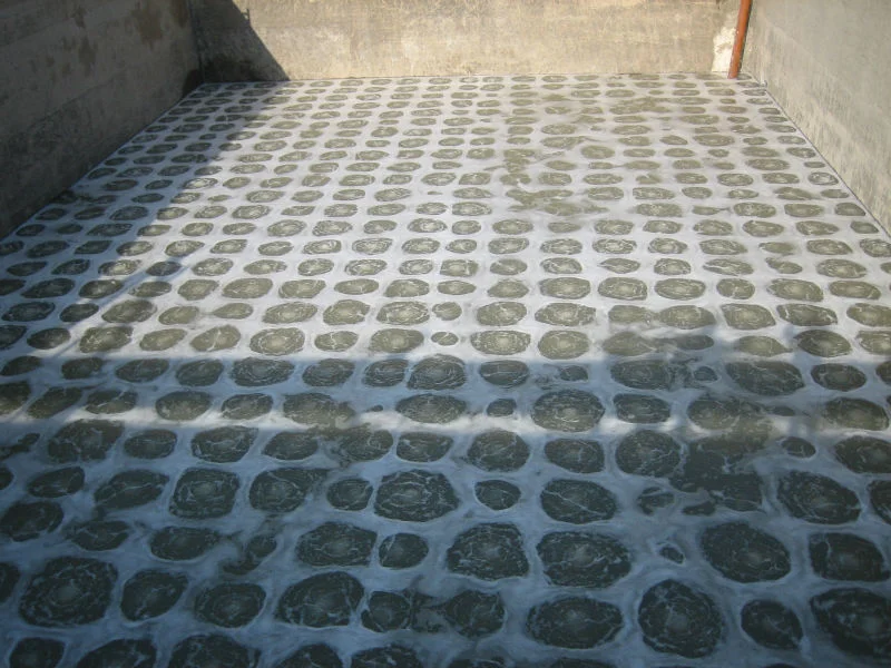 EDI Stainless Steel Micro Bubble Diffuser for Water Treatment