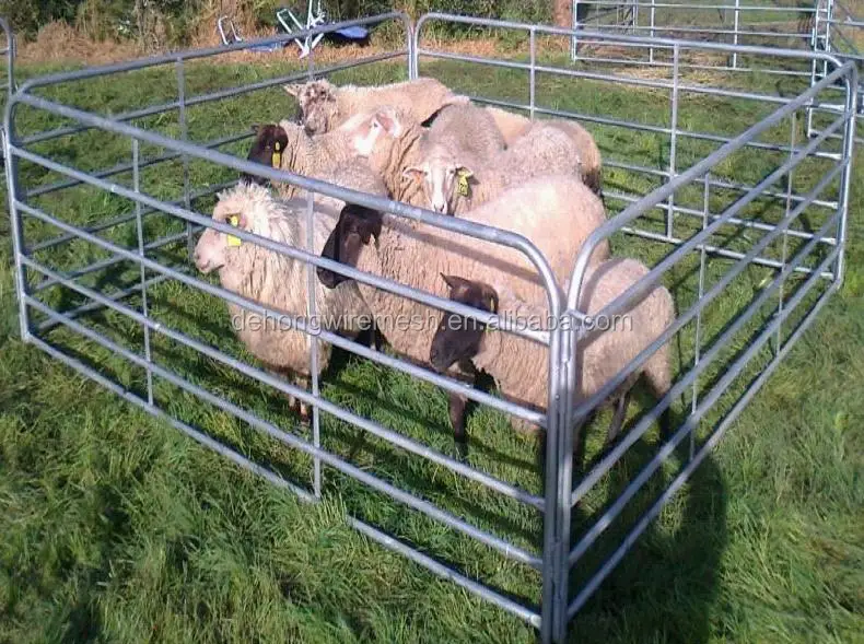 Galvanized Livestock Sheep Panel / Goat Panel / Cattle Panel - Buy ...