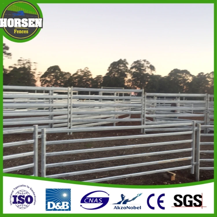 Eco Friendly Square Pipe Livestock Fence Of Cattle - Buy Livestock ...