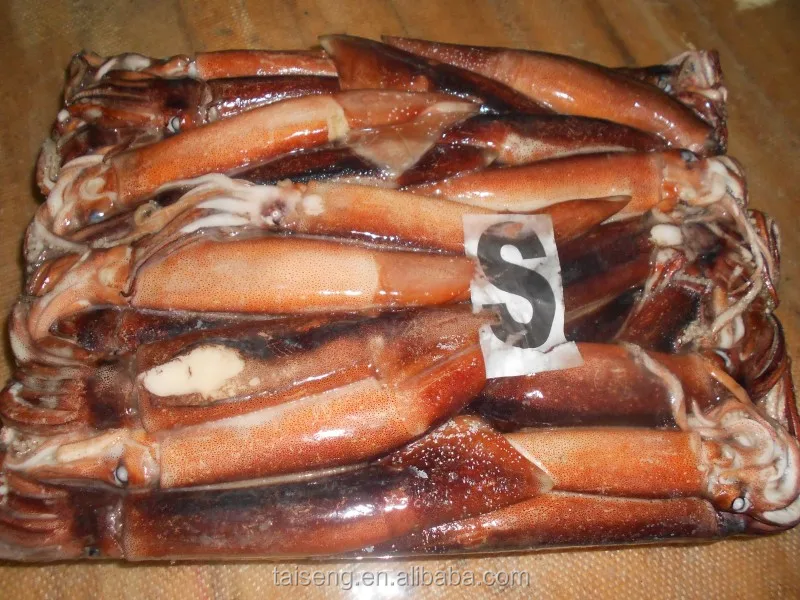 Sea Fishing Squid Tube/giant Squid/illex Squid - Buy High Quality Squid ...