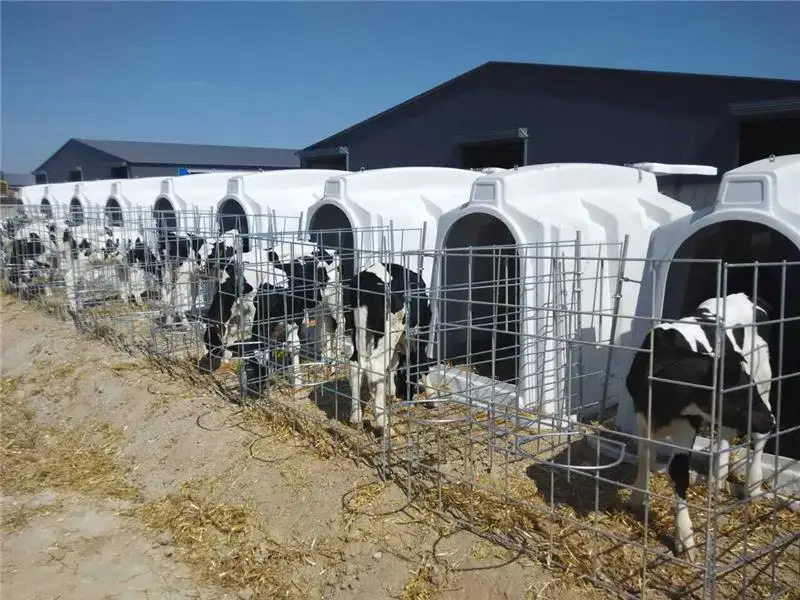 Cattle Calf House Baby Cows Hutch Calf Cage Shelter TGB001