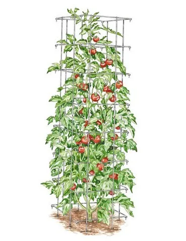 Stackable Tomato Cages - Support Your Garden Efficiently