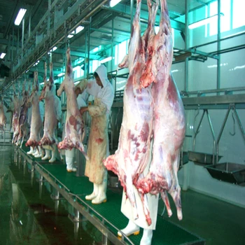 Halal Goat Slaughterhouse Complete Goat Slaughter Equipment Line ...