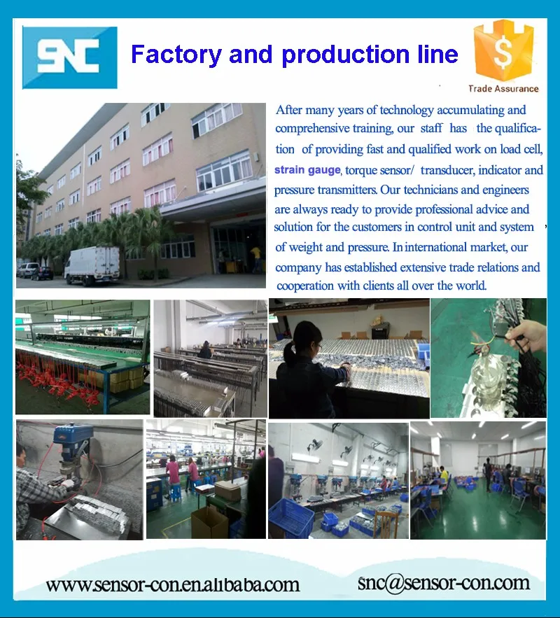 HX711 Load Sensor Amplifier for Weight Scale & IOT Applications, OEM