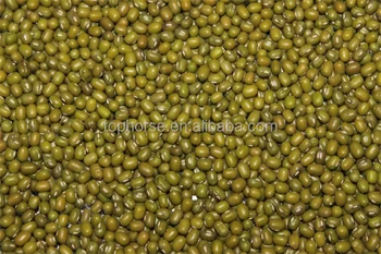 Price Of Chinese Small Round Green Beans - Buy Price Of Green Beans ...