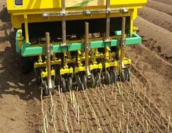 Self Propelled 12 Rows Onion Transplanting Machine - Buy Onion ...