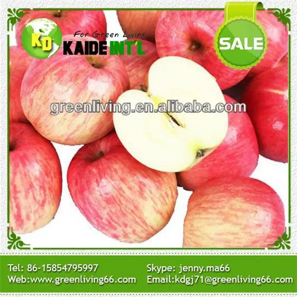 Professional Delicious High Quality Fresh Red Apple - Buy Apple,Bulk ...